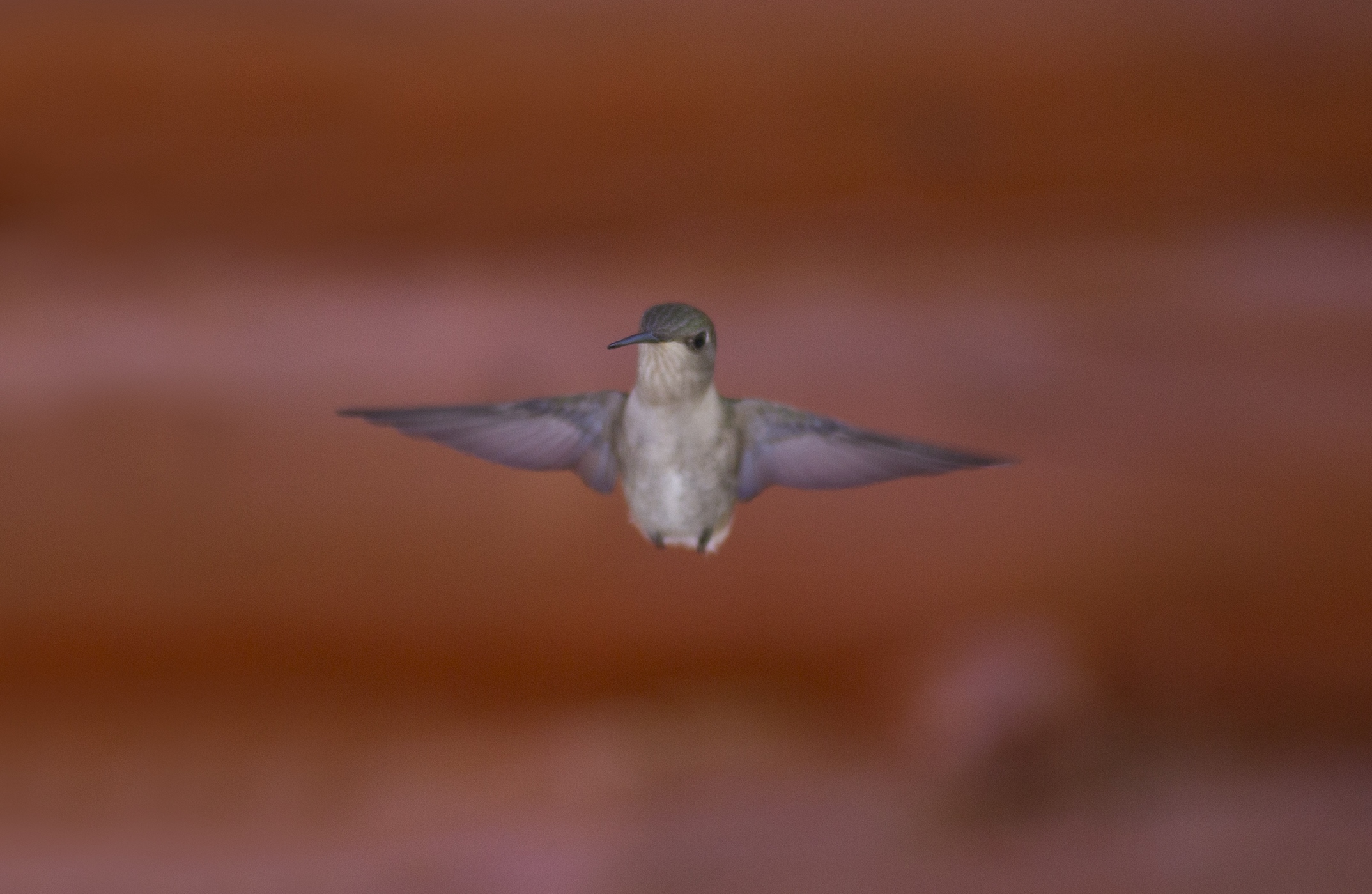 Anxiety – Country Counseling, LLC